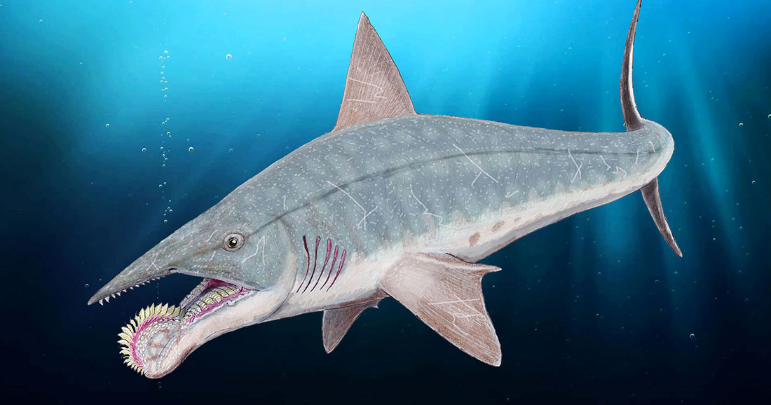 13 espèces animales disparues si étranges que vous aurez du mal à ...