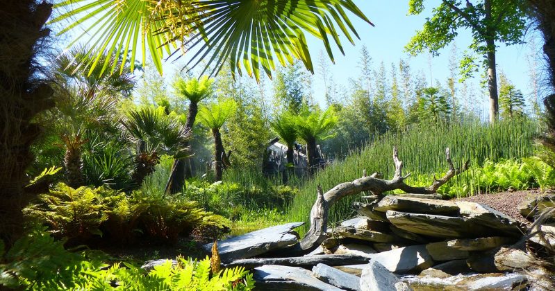 Visitez Terra Botanica, le parc d'attraction où la nature est reine