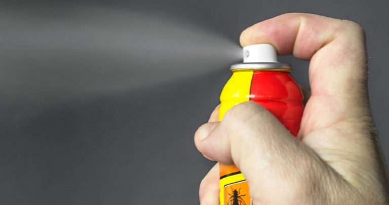 Le déclin mondial du nombre de spermatozoïdes serait lié aux insecticides