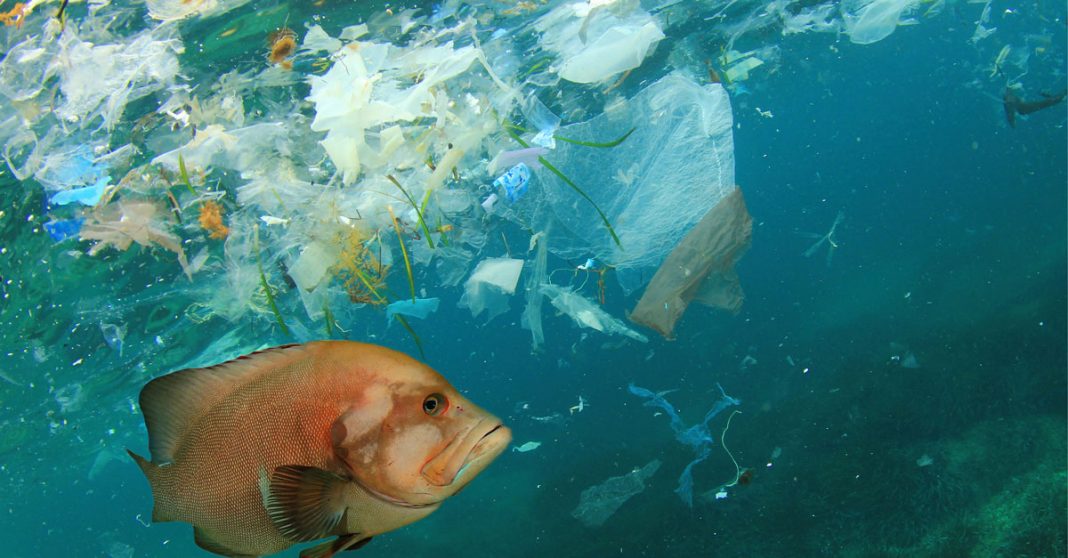 À la découverte de la zone la plus polluée de l'océan Pacifique
