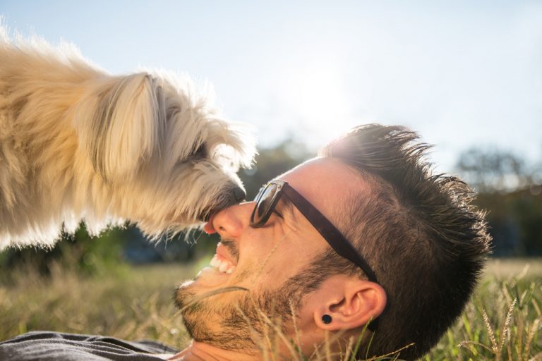 Comment le chien est-il devenu le meilleur ami de l’Homme