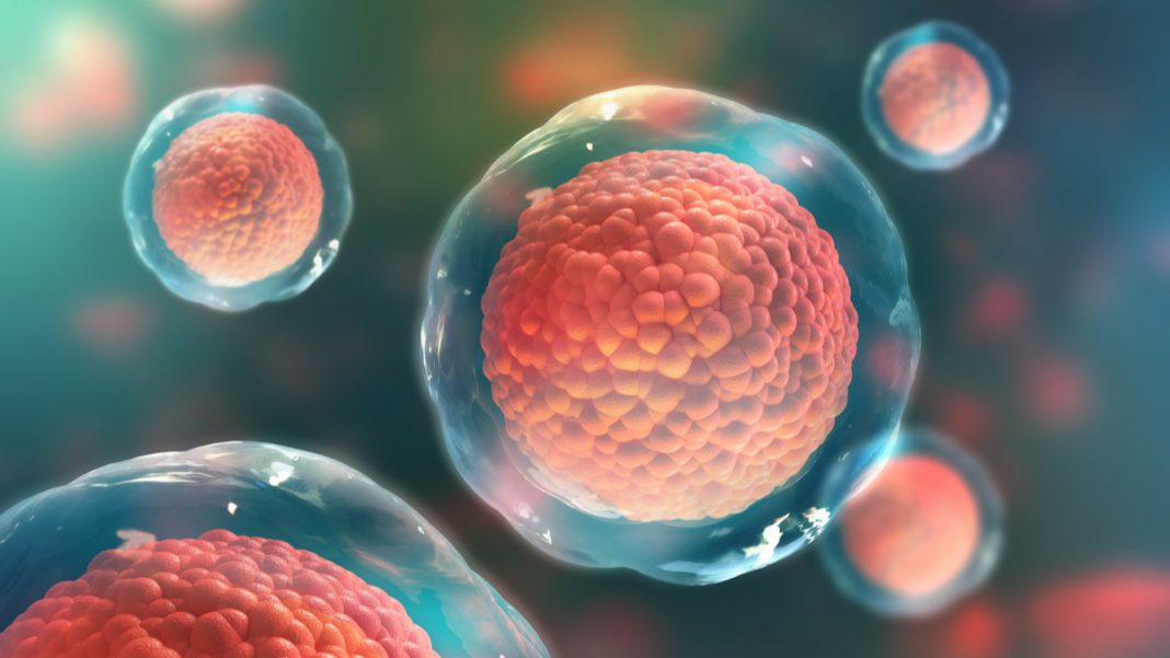 Ce nouveau médicament se révèle prometteur contre les cancers du ...