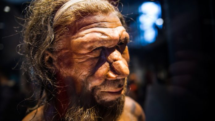 Ce Néandertalien souffrait d'une maladie humaine commune
