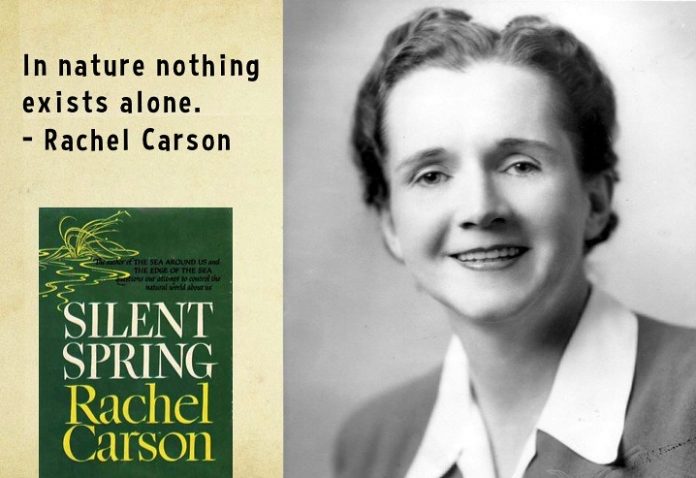 Découvrez l'histoire de Rachel Carson, pionnière de l'écologie