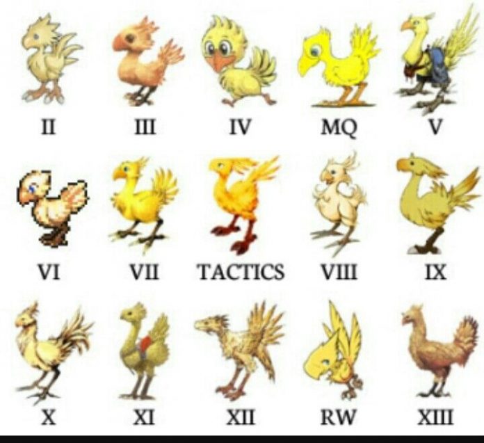 Retracez l’histoire des chocobos, ces drôles d’oiseaux emblématiques de ...