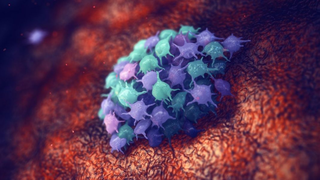 Ces plaquettes sanguines modifiées se révèlent très prometteuses pour ...