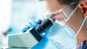 Le matalafi, cette plante samoane qui rivalise avec un anti ...