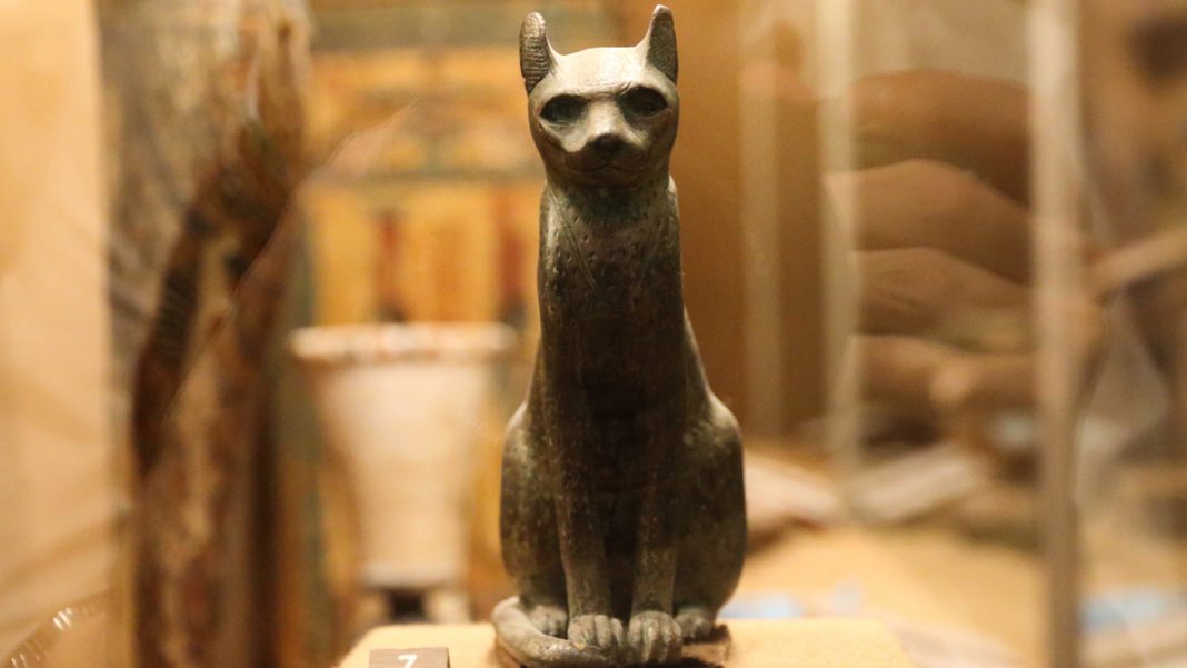 Les chats sont invités à visiter cette exposition sur l'Égypte ancienne ...