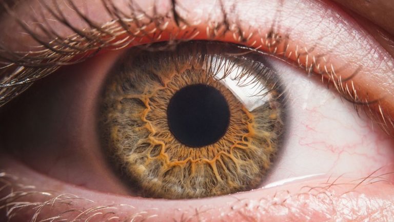 La taille de vos pupilles dépend du nombre d'objets que vous regardez