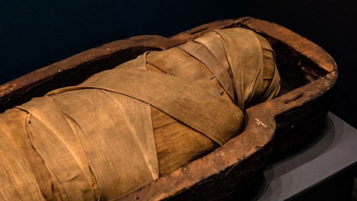 30 momies égyptiennes découvertes sous une ancienne structure sacrificielle