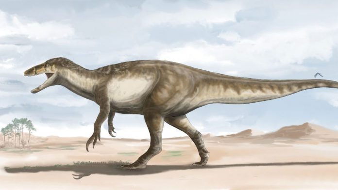 Découverte du plus grand dinosaure raptor connu en Amérique du Sud