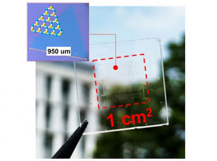 Japanese researchers build nearly invisible solar cells