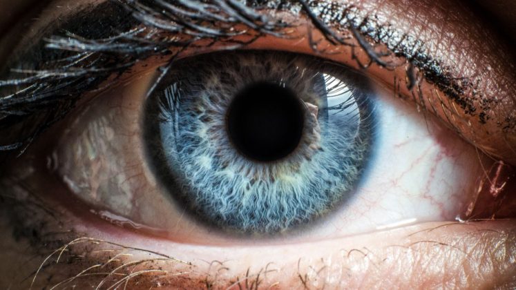 Une thérapie à base de cellules souches inverse des lésions ...