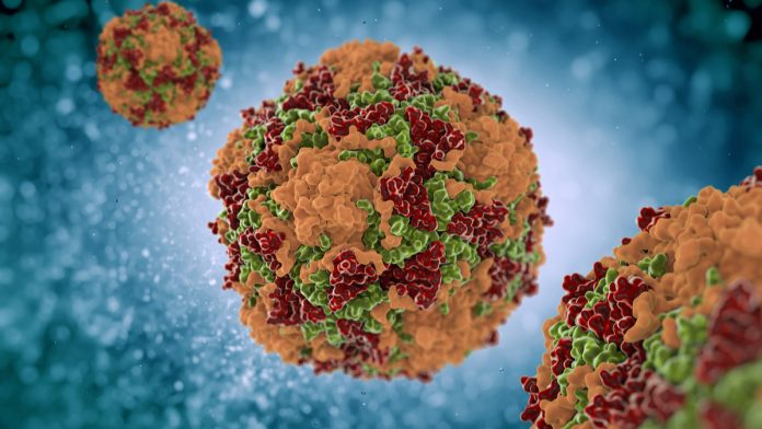 Un virus largement répandu pourrait déclencher le diabète de type 1