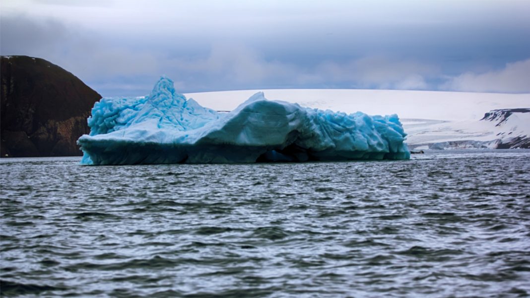 Considérée comme la plus septentrionale de l'Arctique, cette île est en ...