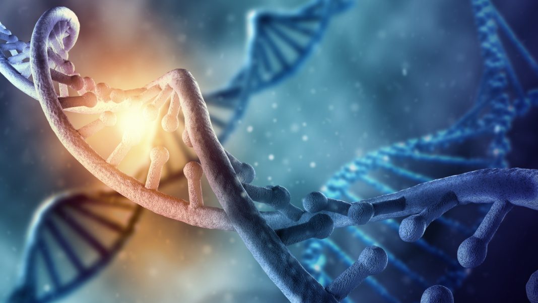 Découverte de plus d'une centaine de nouveaux gènes au sein de l'ADN humain