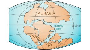 Gondwana : l'ancien supercontinent qui a changé la Terre