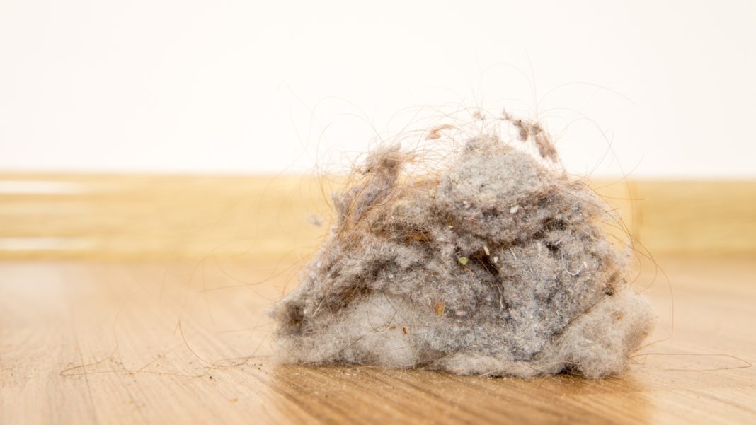 De quoi est constituée la poussière de votre maison