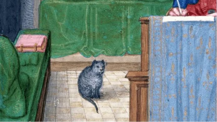 L'histoire des chats au Moyen Âge
