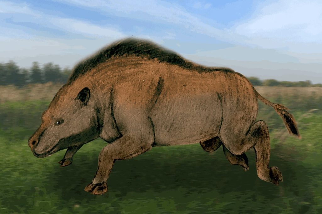 La biologie terrifiante des porcs de l’enfer