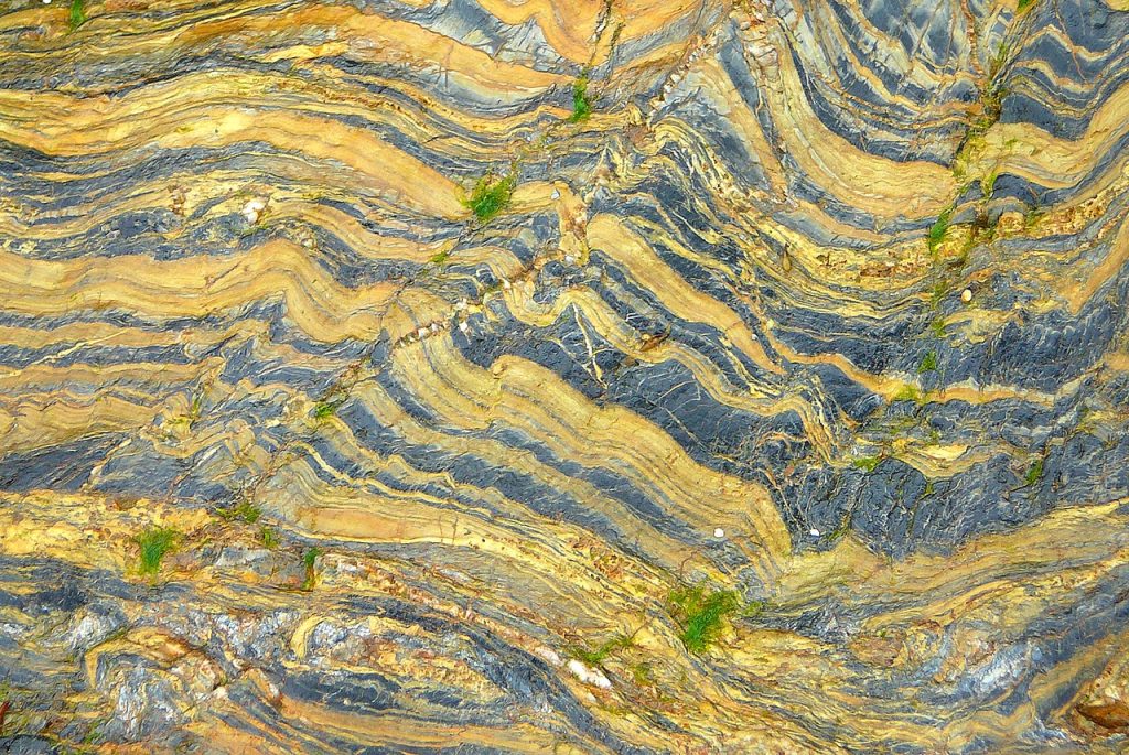 Pourquoi la nature est-elle pleine de motifs