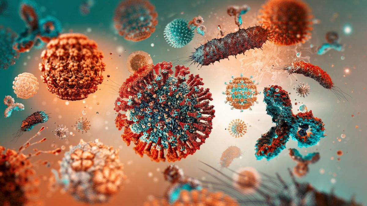 Quel a été le premier virus découvert