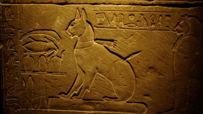L’Égypte ancienne et son culte des chats