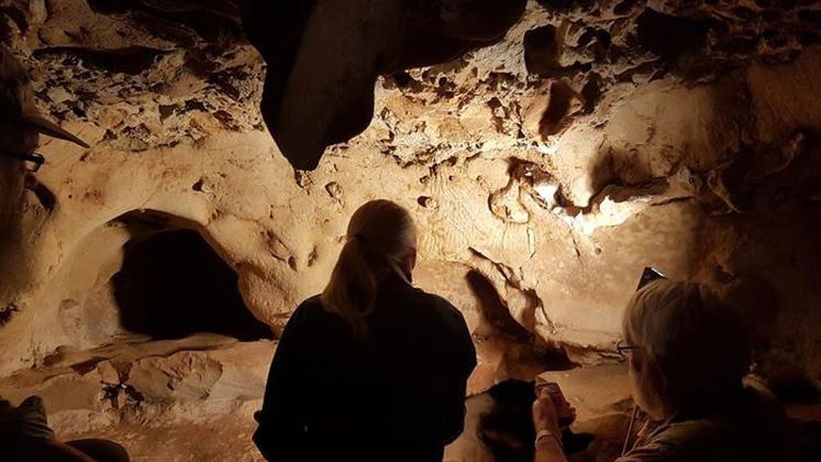 Les plus anciennes gravures rupestres découvertes dans une grotte française