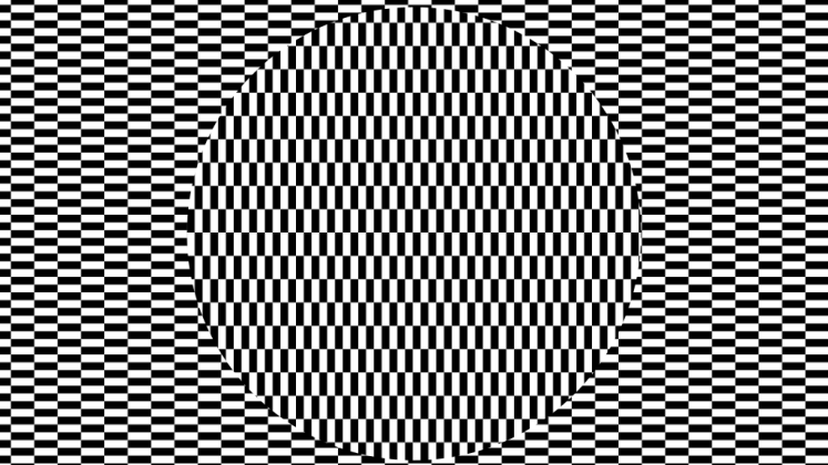 Le secret des illusions d'optique enfin révélé
