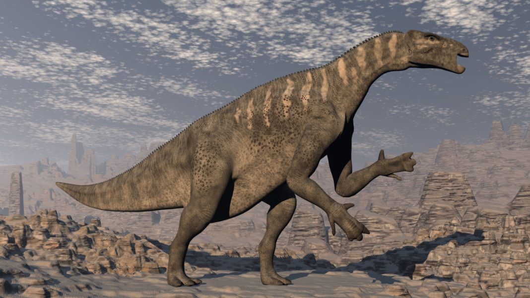 Une nouvelle espèce de dinosaure herbivore découverte en Espagne