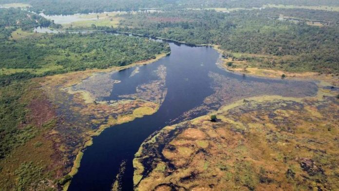 Une étude dévoile pourquoi le Ruki est la rivière la plus sombre du monde