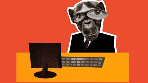 Une alternative écolo à la climatisation : ce bois réfléchit le soleil ...