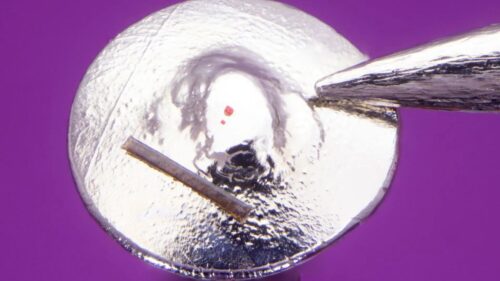 35 affiches créatives et poignantes de la WWF qui vous plongeront au ...